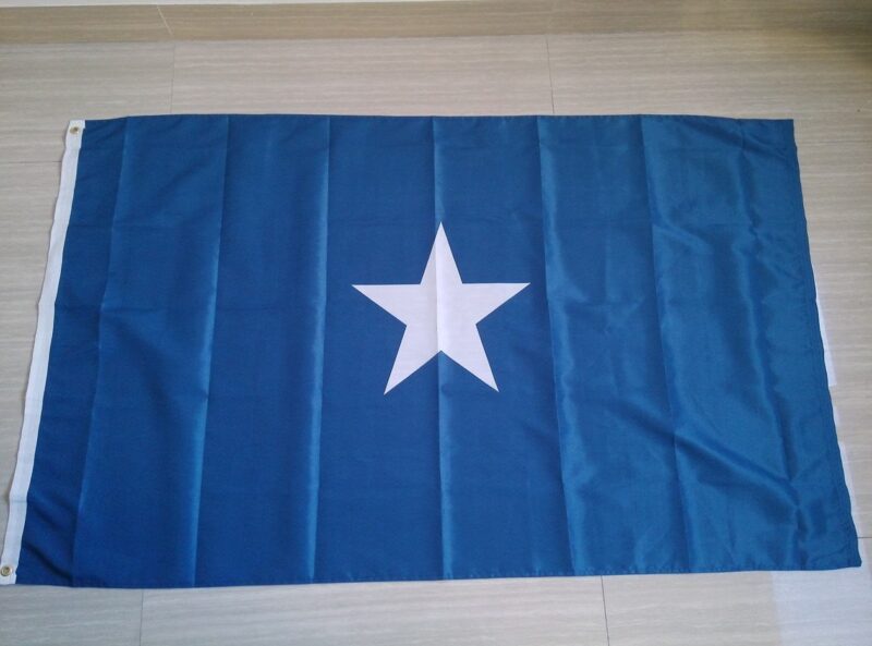 Bonnie Blue Flag – Sons of Confederate Veterans